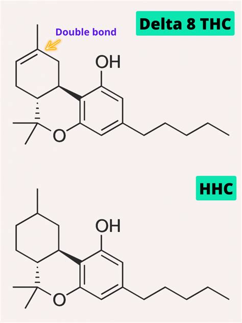 HHC Vs Delta 8 Which Is Better And More Potent