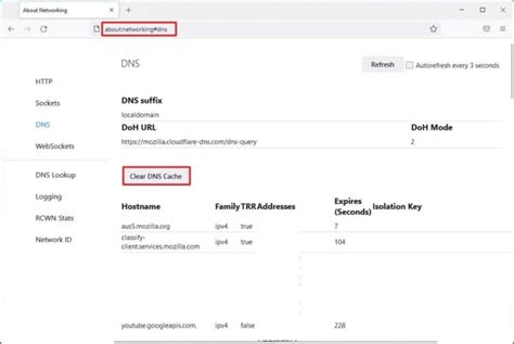 Como Limpar O Cache Dns No Windows Conectando Net