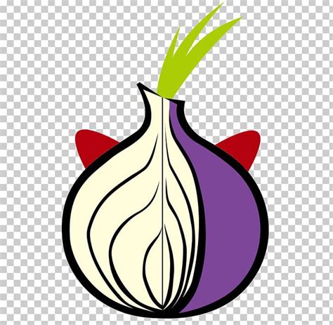 Tor Onion Onion Routing Darknet Web Browser PNG Clipart Anonymity