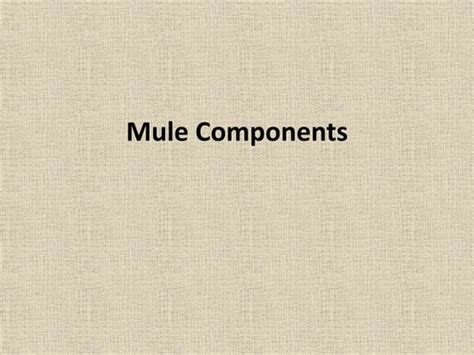 mule exception strategies ppt