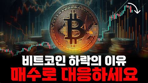 비트코인 하락 쫄지마세요 매수 기회를 잡는 방법은 Youtube