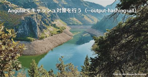 Angularでキャッシュ対策を行う（ Output Hashingall） Tech Note