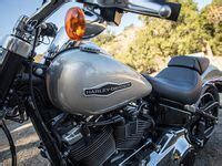 Harley Davidson Sport Glide In The Nude Motorcyclist