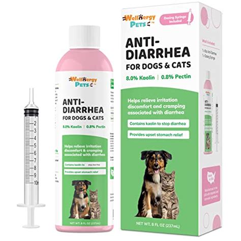 Medicina Para La Diarrea Para Gatos Los 15 Mejores Productos
