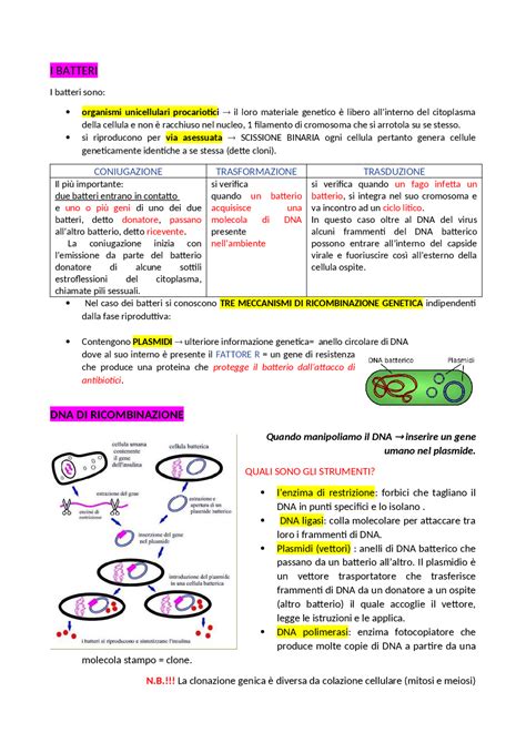 Batteri E Dna Ricombinante Schemi E Mappe Concettuali Di Biologia