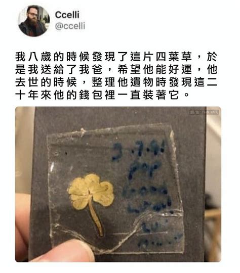 Meme 皓 Do You Do 並沒有 Instagram Meme 皓 Do You Do 並沒有 Instagram