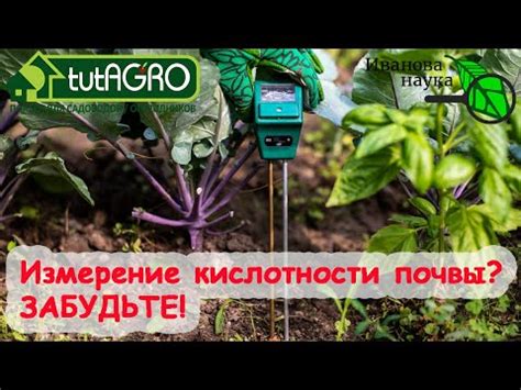 ТРИ СПОСОБА ИЗМЕРИТЬ КИСЛОТНОСТЬ ПОЧВЫ В ДОМАШНИХ УСЛОВИЯХ. Точность ...
