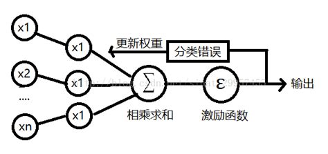 Python实现感知器算法 修炼之路 Csdn博客
