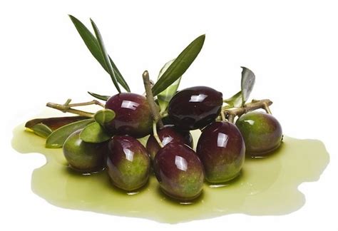 Olives in a nutshell – Natural Health Centre in Kingston