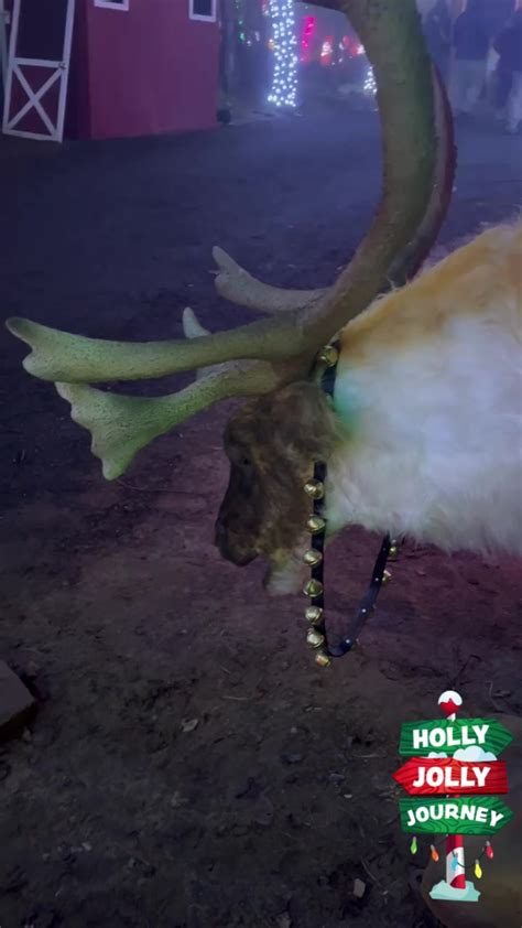 Introducing Holly Jolly Journey New Englands Greatest Holiday Light Show The Grand Opening Is