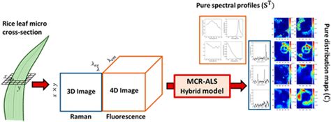 D和 D图像融合应对高光谱图像之间的光谱模式差异 Analytical Chemistry X MOL