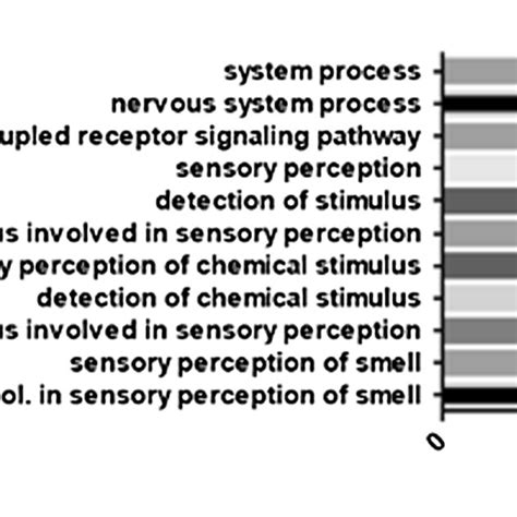 Functional Enrichment Analysis Result Of High Impact Indels In The