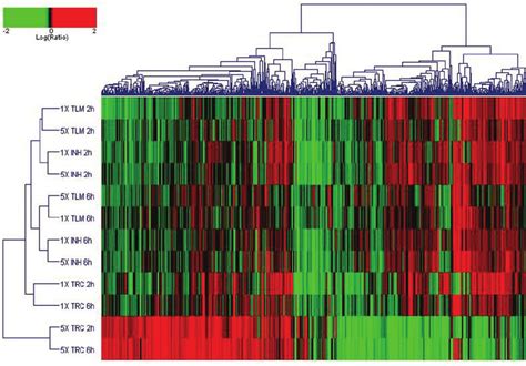 two dimensional cluster analysis of the drug treated expression pro fi
