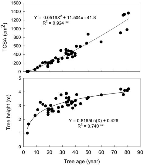 Relationship Between Tree Age And Trunk Cross Sectional Area Above Download Scientific