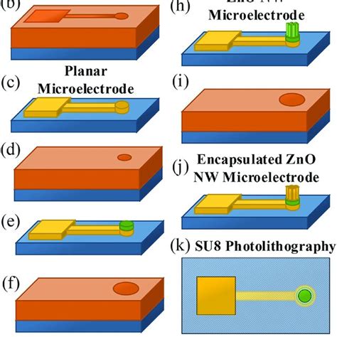 Electrochemical Impedance Spectroscopy Eis Of Microelectrodes With