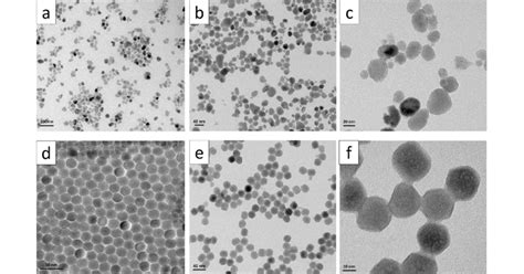 TEM Images Of Oleic Acid Capped A D And Biofunctionalized UCNPs B