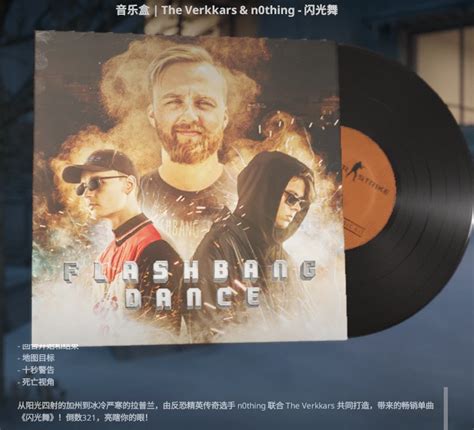 Cs Go Cs2中的音乐盒与展示品勋章胸章徽章获得条件 哔哩哔哩