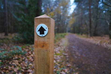 Why Document Audit Trails Are Important For Your Business Featured Enterprise Software
