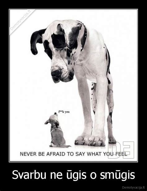 Svarbu Ne Ugis O Smugis Demotyvacijalt