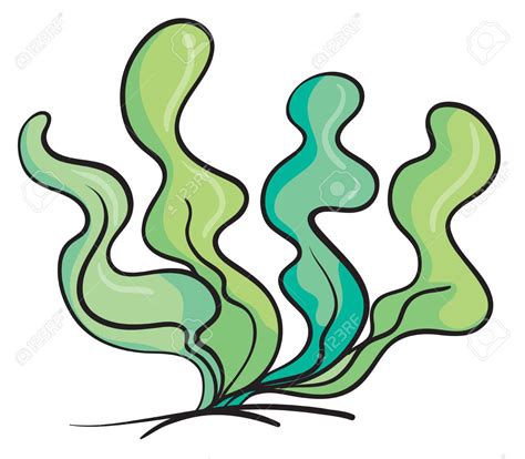 Algae Clipart At Getdrawings Free Download