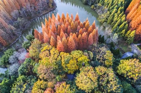 东平国家森林公园怎么样？值得去吗？ 知乎