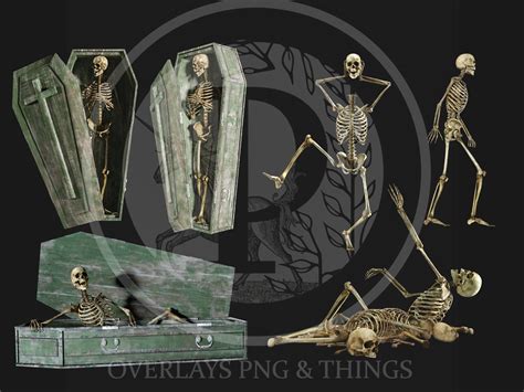 Skeleton Overlays Collection Bone Png Halloween Clipart Etsy Skeleton Overlays Collection Bone Png Halloween Clipart Etsy