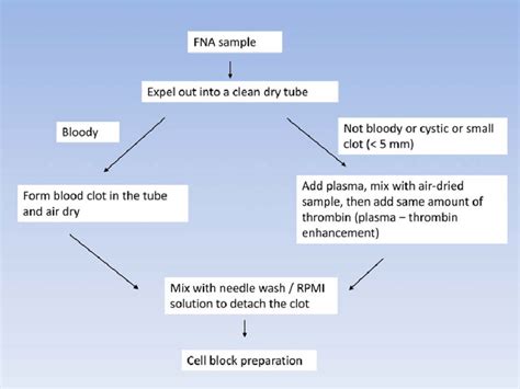 Recommended Protocol For Cell Block Preparation Of Fine Needle Download Scientific Diagram