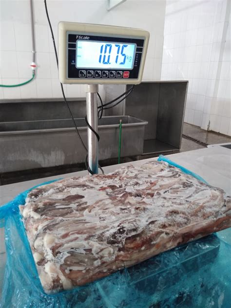 Giant Squid Tentacles Nym Seafood