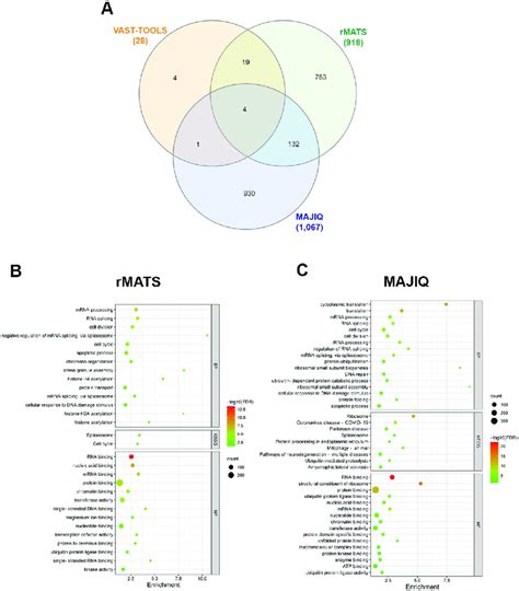 Analysis Of Alternative Splicing Events Predicted To Be Altered By Download Scientific Diagram