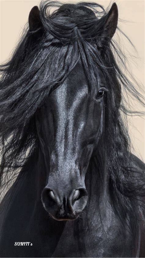 Adorable Artofit