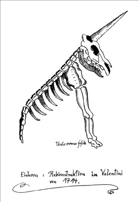 The Magdeburg Unicorn Is The Worst Fossil Reconstruction In The History
