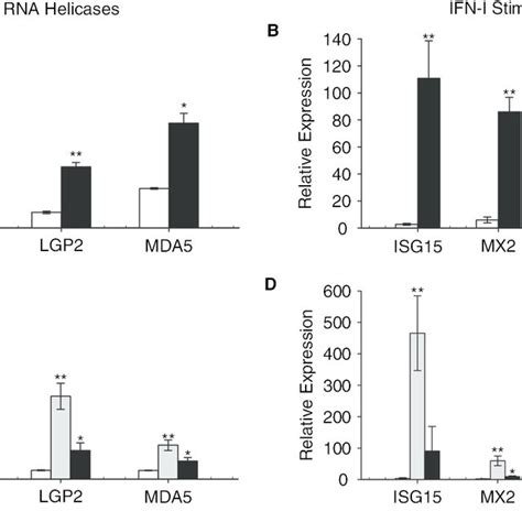 Effects Of Bvdv Infection On The Type I Ifn Pathway A The Initiation