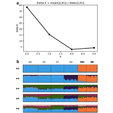 Bayesian Clustering Analysis Of Combined 2002 Microsatellite And Mtdna Download Scientific