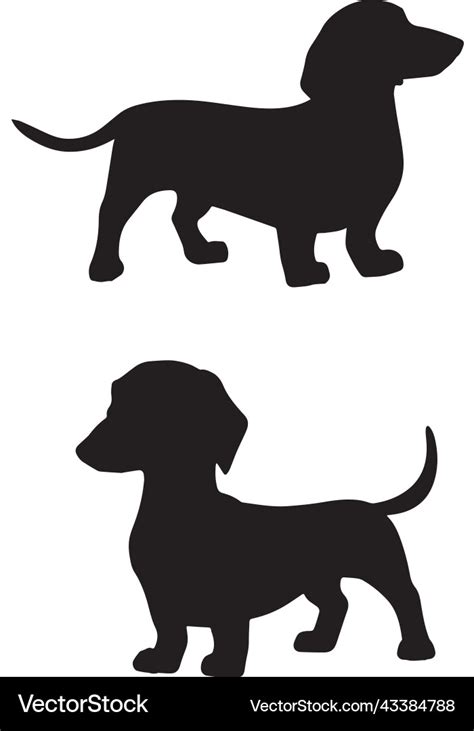 Dachshund Royalty Free Vector Image Vectorstock