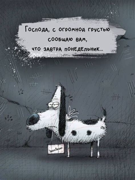 Пин от пользователя Vitaliy Neshchadin на доске A Funny Счастливые