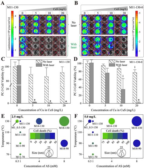 Photothermal Ablation Of Pc 3luc Cancer Cells By Cus Ncs In Vitro