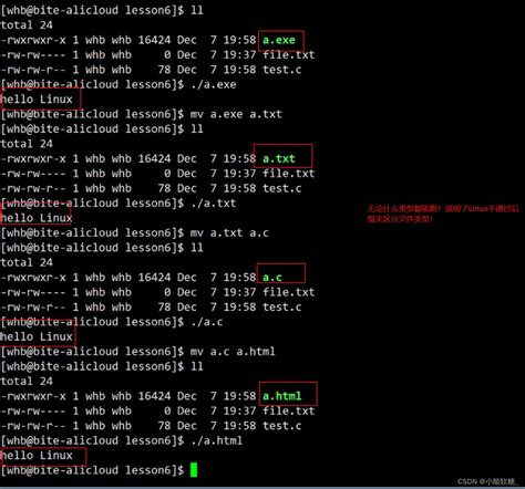 【linux】shell命令运行原理和权限详解linux Shell怎么运行 Csdn博客