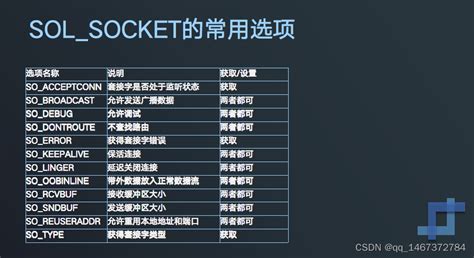 套接字属性 Csdn博客