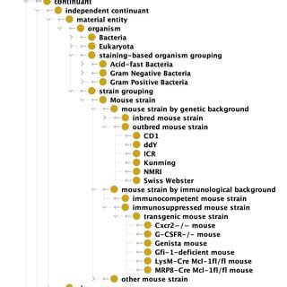 The Additional Classification And Metadata A N N O T A T I O N I N B P Download Scientific