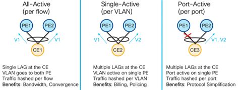 『无题』 blog archive evpn summary