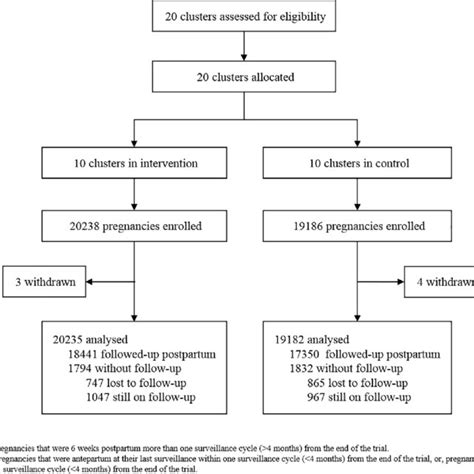 Trial Profile Intervention Vs Control Allocation Clusters Download