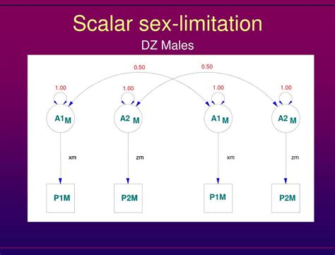 Ppt The Problem Powerpoint Presentation Free Download Id3220388