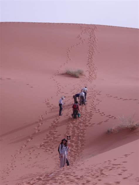 Ancient ‘star Dune Evidence Isnt Missing Its Been Hiding In Plain