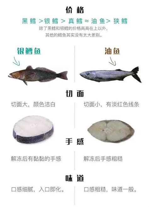 鳕鱼和油鱼怎么区分 鳕鱼和油鱼的区别图片 大山谷图库