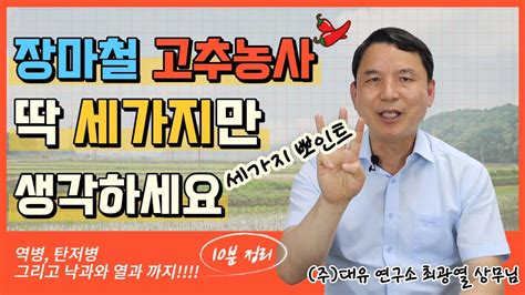 장마철 고추농사 관리가 어렵다구요 해결해드리겠습니다 Youtube