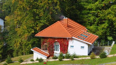 Este Interzis Pentru Cei Care Stau La Curte Regula Obligatorie Pe