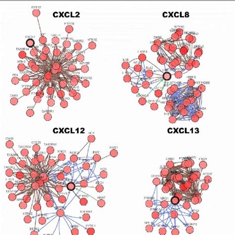 Prospective Gene Networks Of Four Differential Cxc Chemokines To