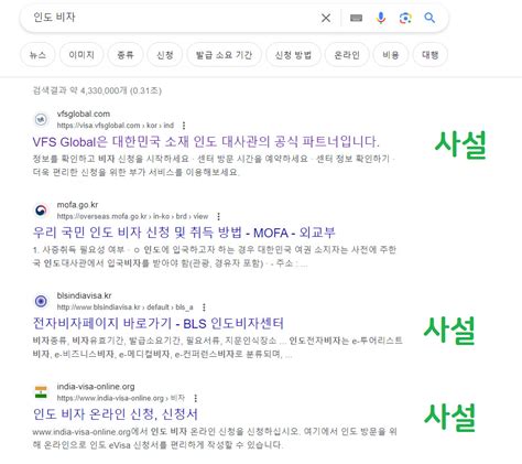 인도 E비자 신청시 주의사항