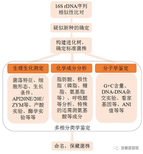 一文看懂 如何鉴定新菌种和新菌株 知乎