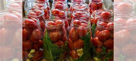 Помидоры маринованные купить в Москве | Товары для дома и дачи | Авито